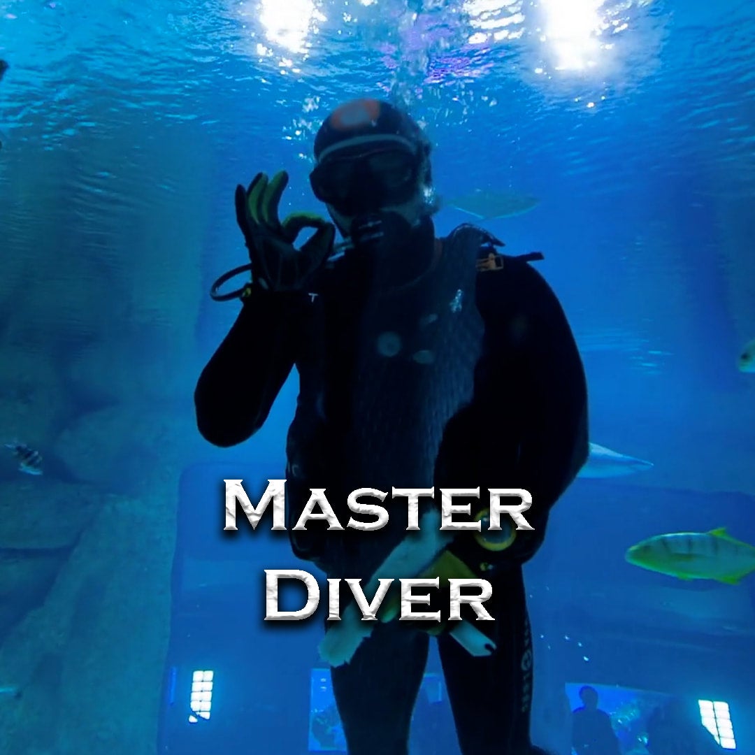 Master Diver | Dive Aqua